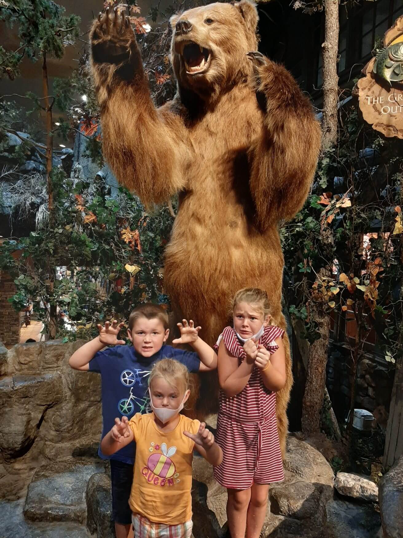 Cody Maher - Compass Insurance